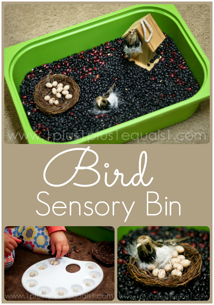 Birds Sensory Bin - 1+1+1=1