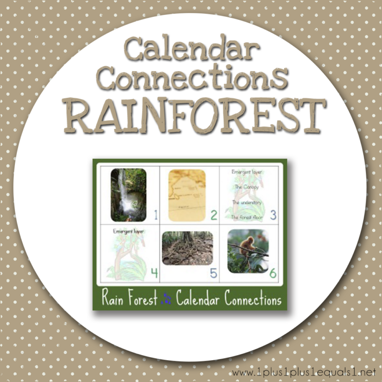 Rainforest Archives - 1+1+1=1
