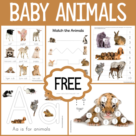 Baby Animals Archives - 1+1+1=1