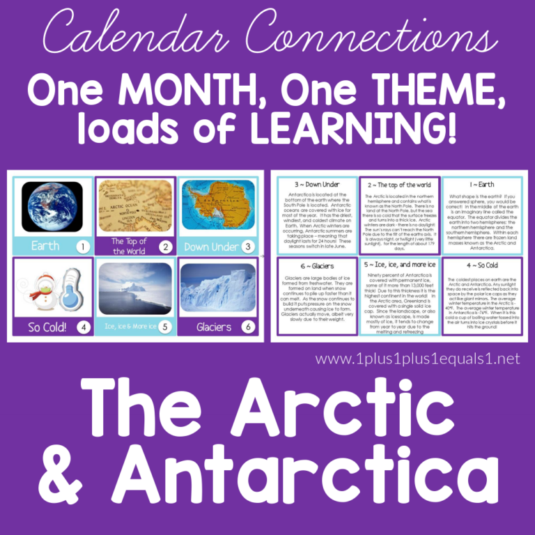 Peek & Find Arctic Animals - 1+1+1=1