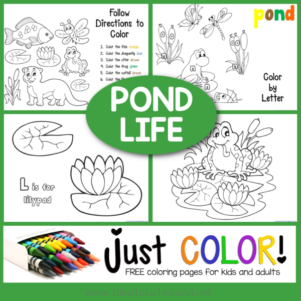 Pond Theme Kindergarten No Prep Printable Activity Pack for May - 1+1+1=1