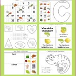 A Color of His Own Kindergarten Literature Unit Printables - 1+1+1=1
