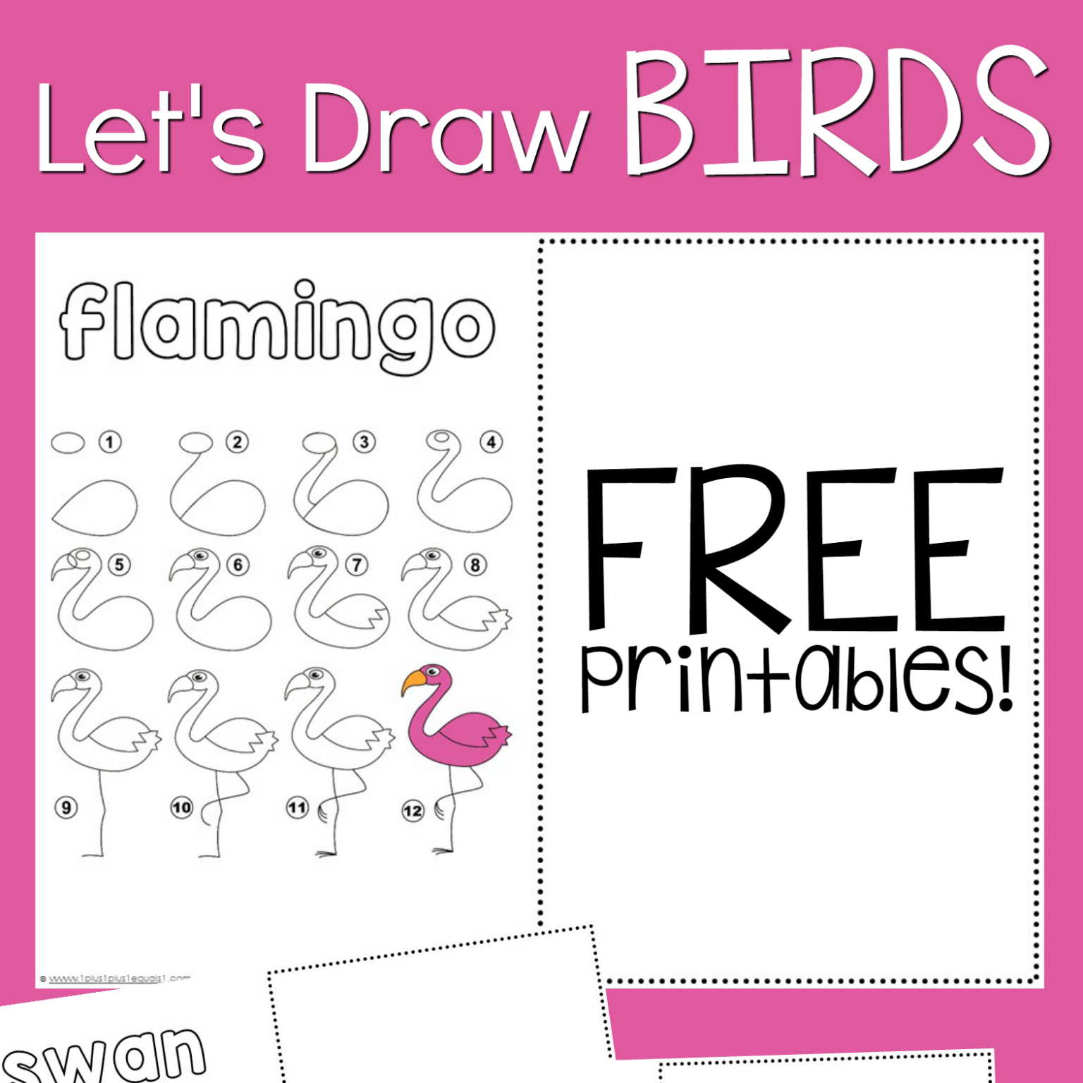 Birds Archives - 1+1+1=1