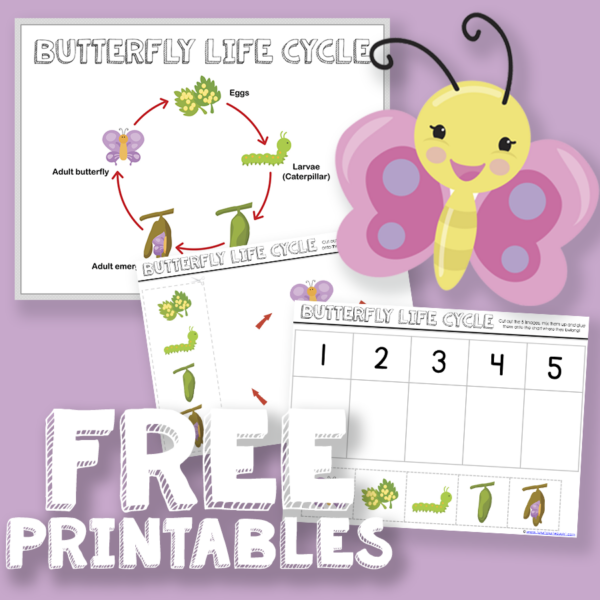 Butterfly Life Cycle & Anatomy Printables - 1+1+1=1