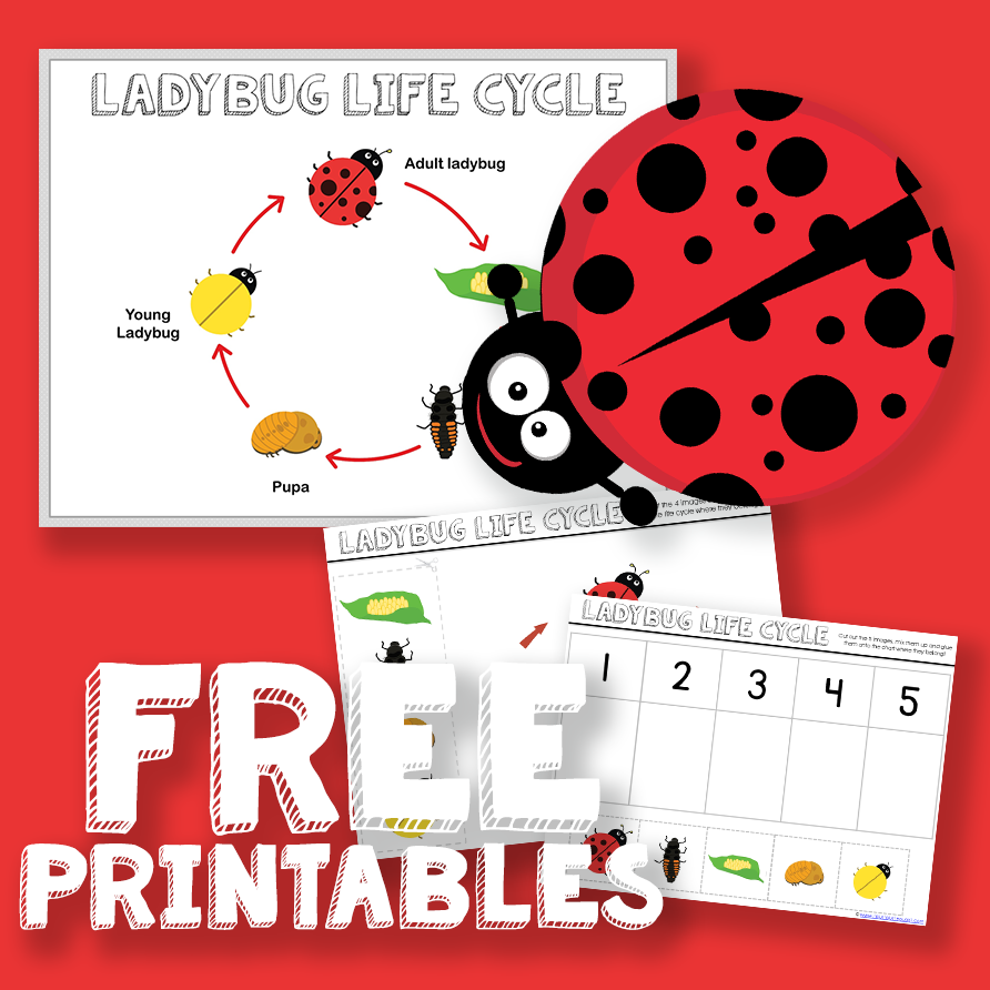 printables Archives - 1+1+1=1