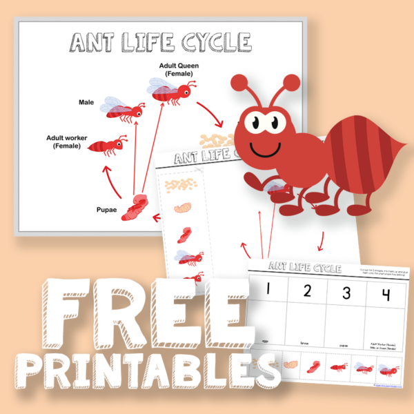 printables Archives - 1+1+1=1
