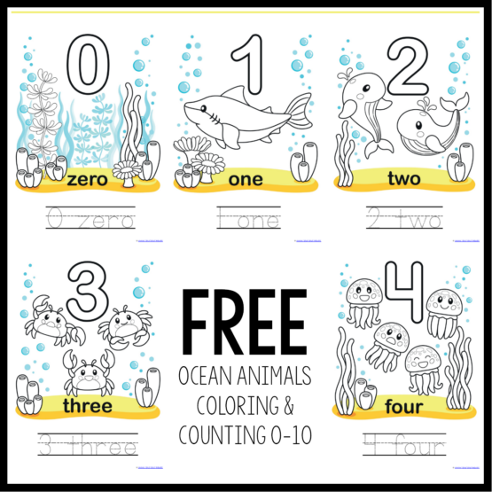 Ocean Archives - 1+1+1=1