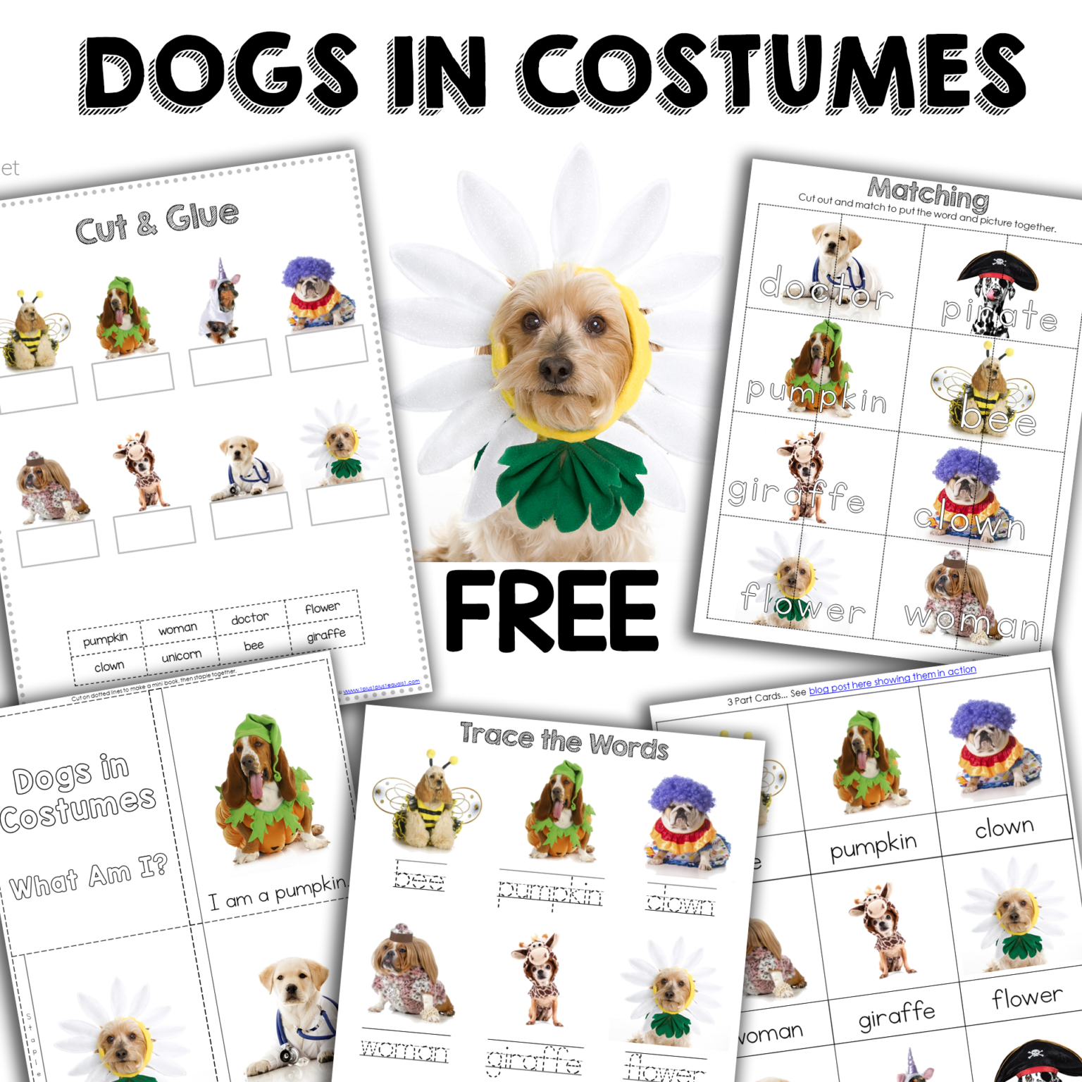 Dogs Archives - 1+1+1=1