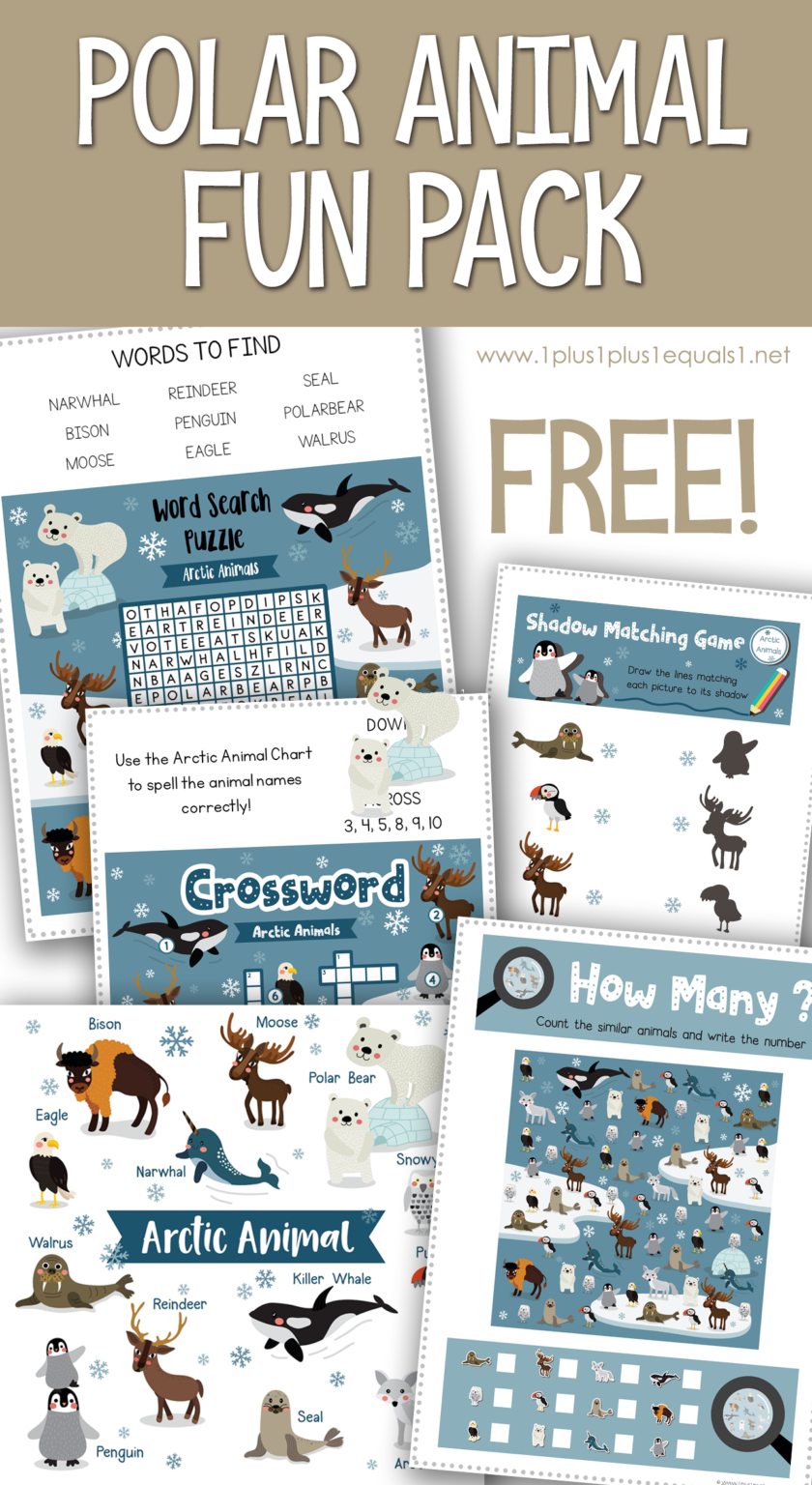 Polar Animal Fun Pack - 1+1+1=1