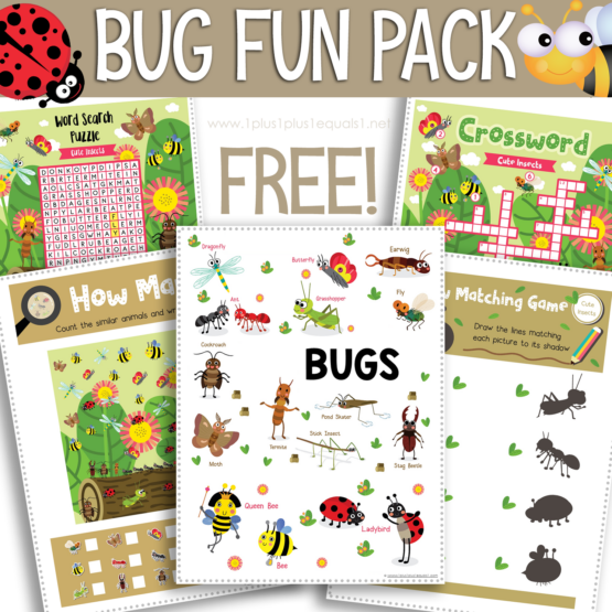 Fun Pack Archives - 1+1+1=1