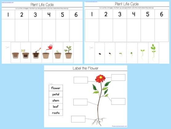 Lola Plants a Garden Kindergarten Literature Unit - 1+1+1=1