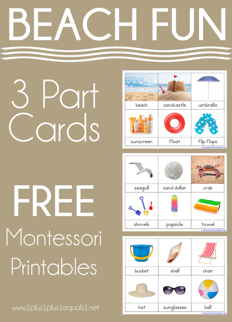 Beach Montessori Printables - FREE 3 Part Cards - 1+1+1=1