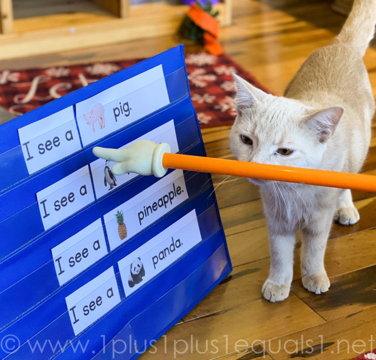Kindergarten at Home ~ Letter P, Reading, Math, & More! - 1+1+1=1