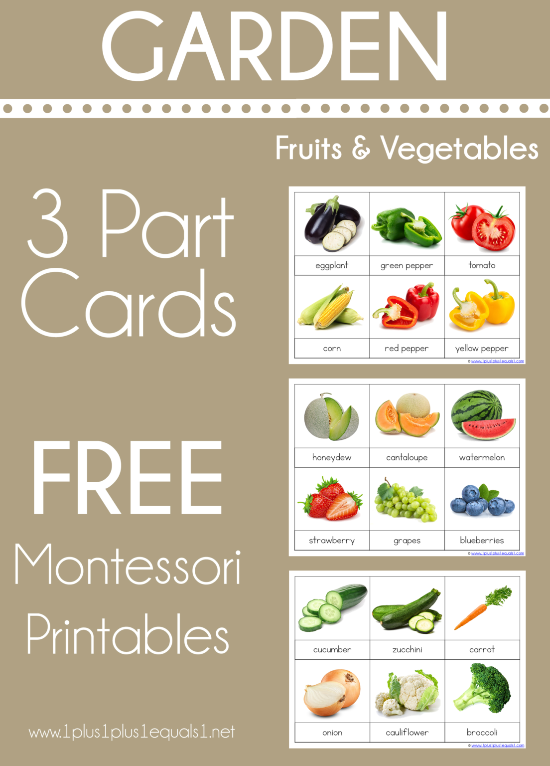Garden Theme 3-Part Cards - 1+1+1=1