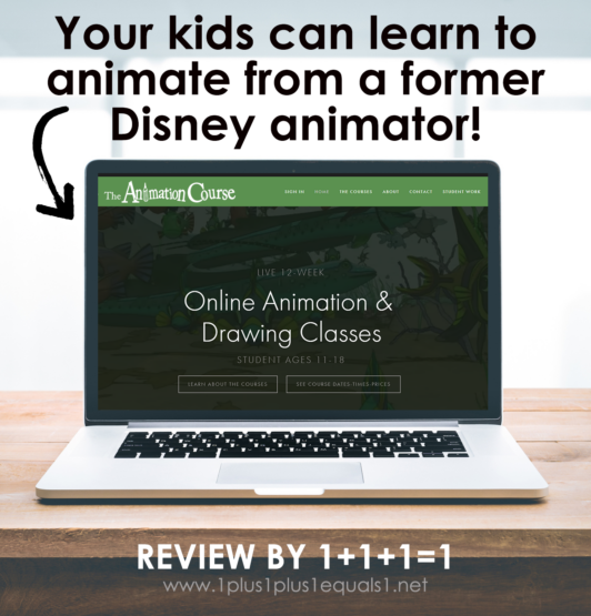 The Animation Course - A Review - 1+1+1=1