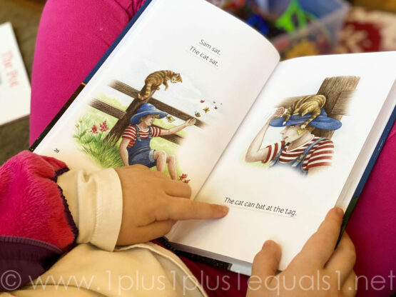 5 Reasons All About Reading is the Best Homeschool Reading Curriculum ...