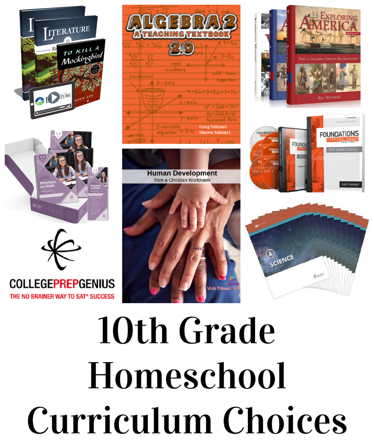 10th Grade Homeschool Curriculum Choices, Round 2 - 1+1+1=1