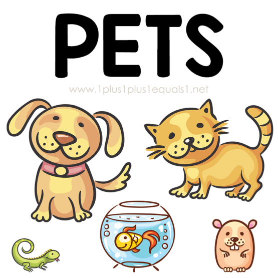 Pet 3-Part Printable Cards and Boom Cards - 1+1+1=1