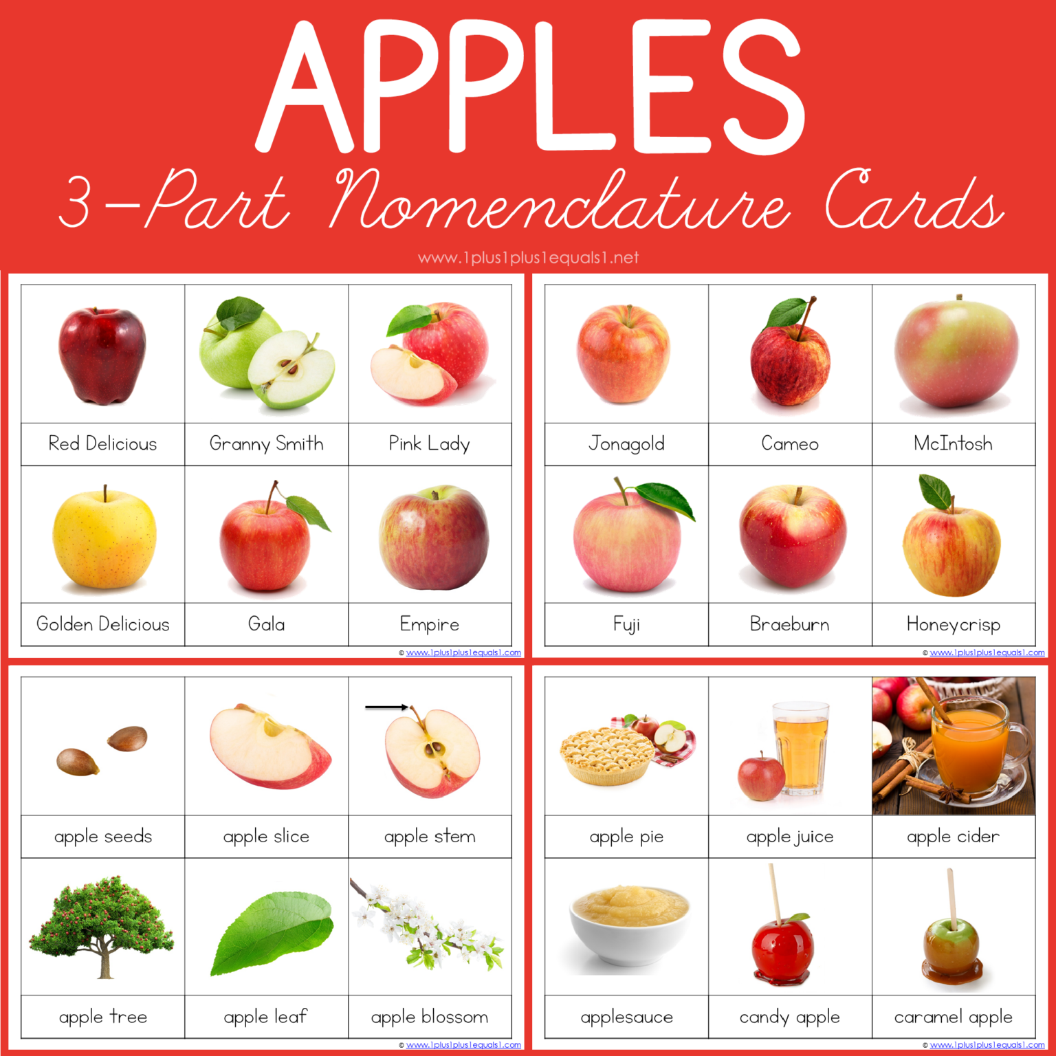 Apple 3-Part Printables and Boom Cards - 1+1+1=1