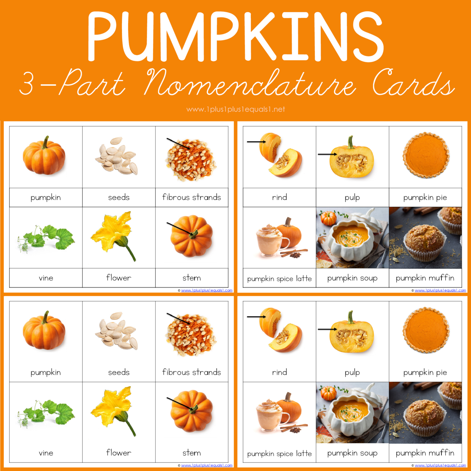 Pumpkin 3 Part Cards - 1+1+1=1