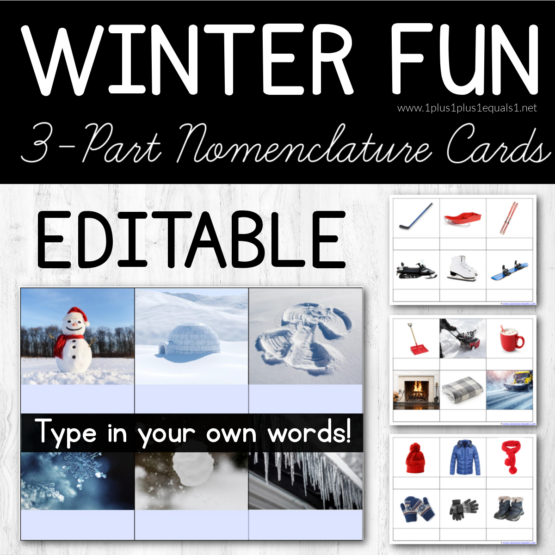 Montessori Nomenclature - Winter 3 Part Cards for winter word work and ...