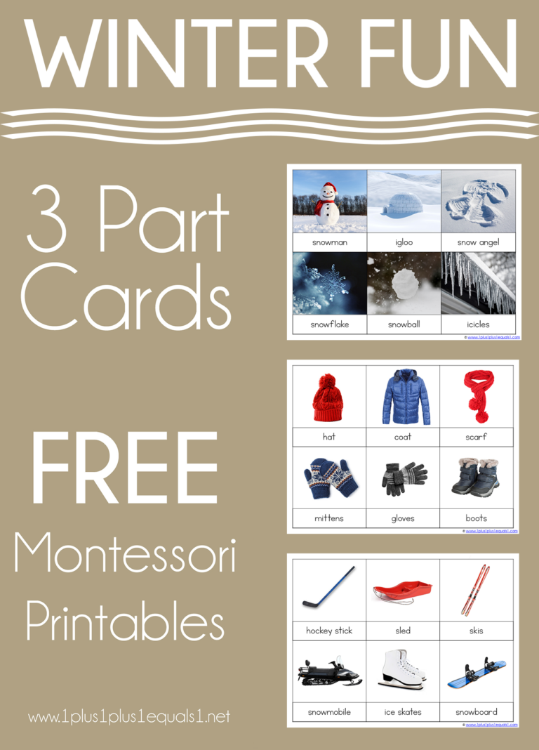 Montessori Nomenclature - Winter 3 Part Cards for winter word work and ...