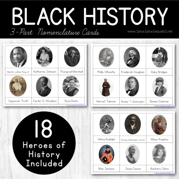 Black History 3 Part Cards ~ Heroes of Black History – Shop Just Lovely ...