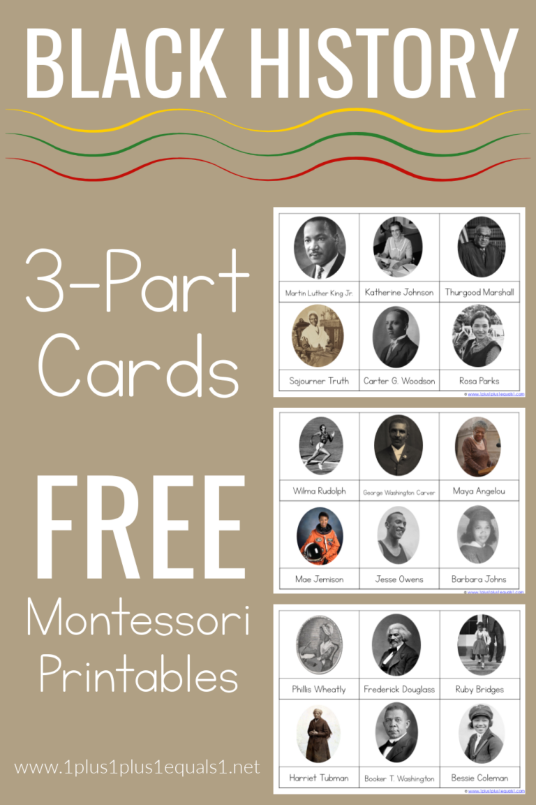 Black History 3 Part Cards ~ Heroes of Black History - 1+1+1=1
