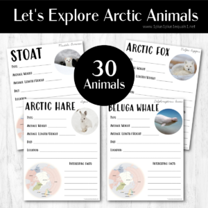 Let's Explore Arctic Animals - An Arctic Unit Study for Kids - 1+1+1=1
