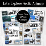 Let's Explore Arctic Animals - An Arctic Unit Study for Kids - 1+1+1=1