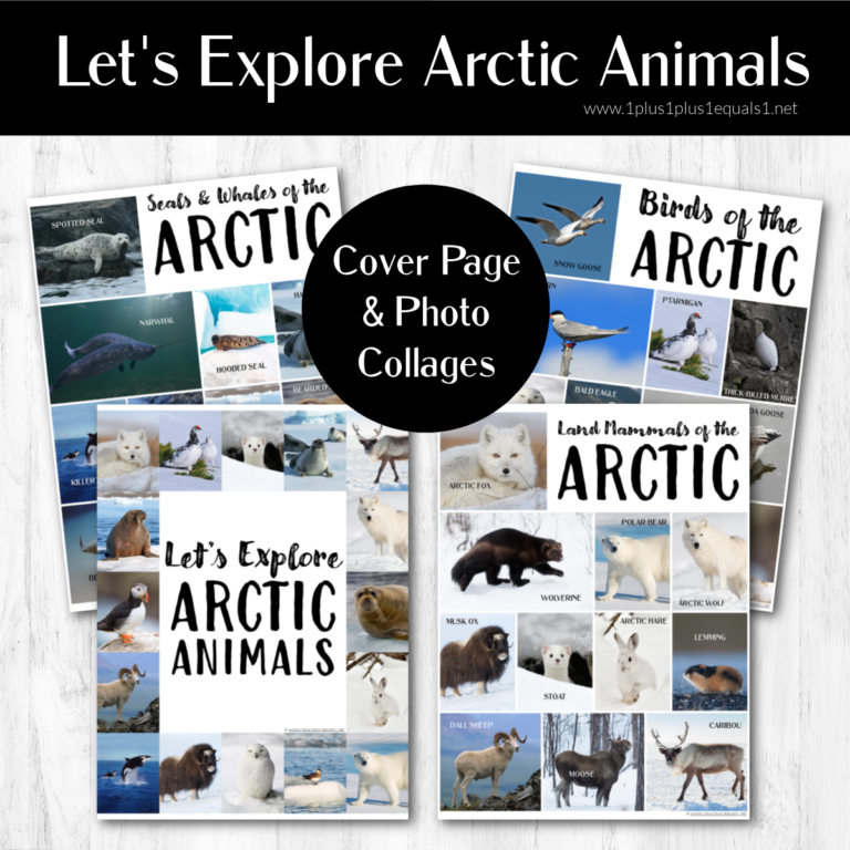 Let's Explore Arctic Animals - An Arctic Unit Study for Kids - 1+1+1=1