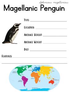 Let's Explore Penguins ~ A Penguin Unit Study for Kids - 1+1+1=1