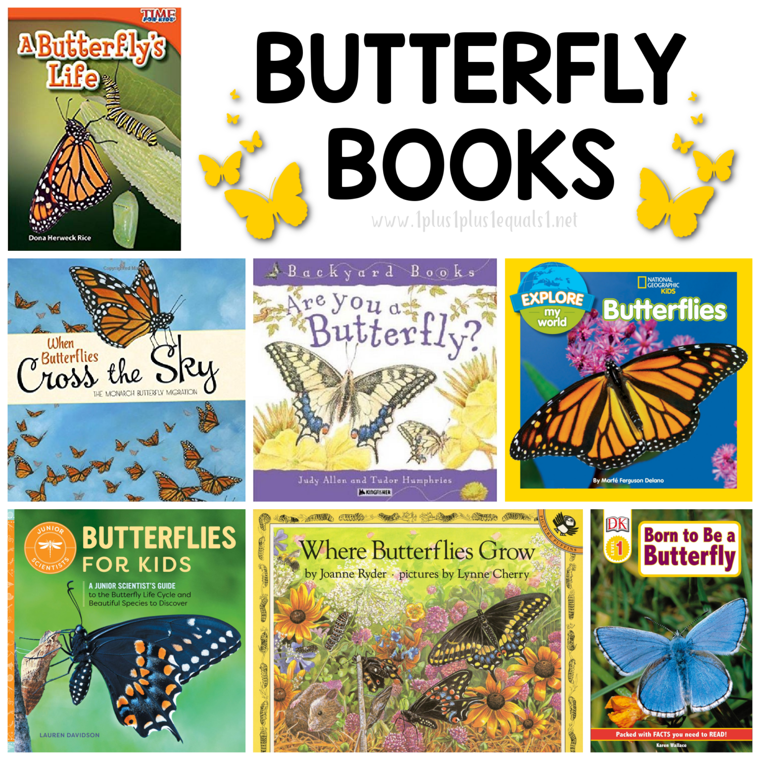 Butterfly Books For Kids, and Fun Butterfly Facts Too! - 1+1+1=1