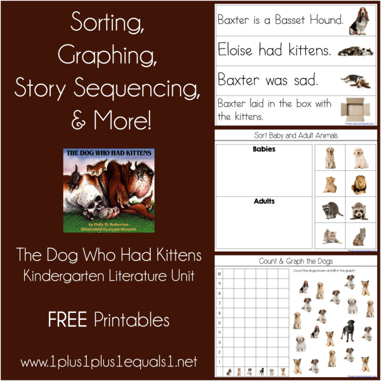 Kindergarten Literature Units - 1+1+1=1