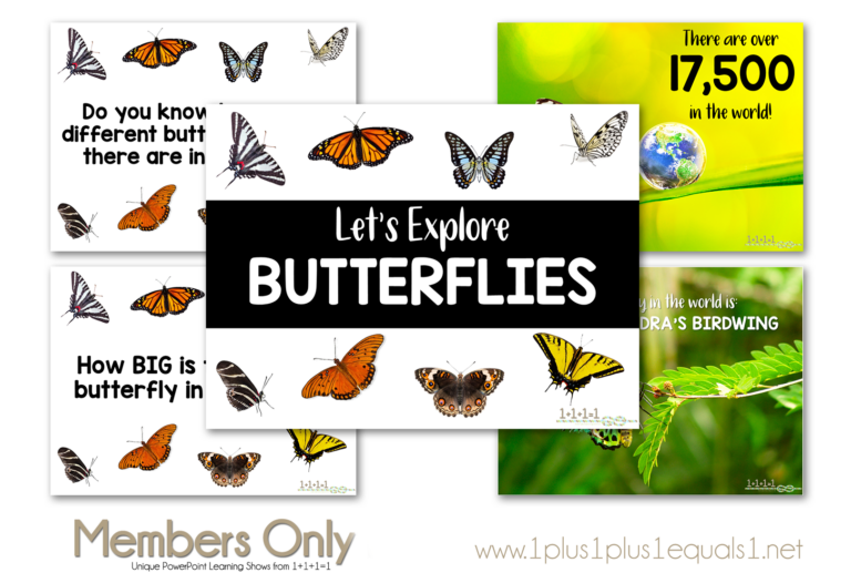 Let's Explore Butterflies ~ An Interactive PowerPoint Show for Kids - 1 ...