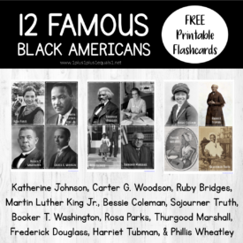 Black History Flashcards - 1+1+1=1