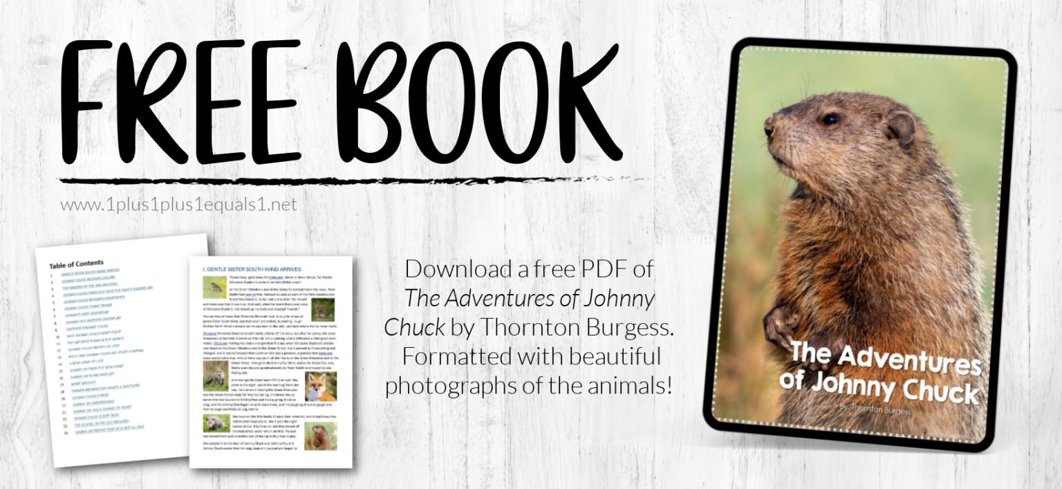 The Adventures OF Johnny Chuck Book & More - 1+1+1=1