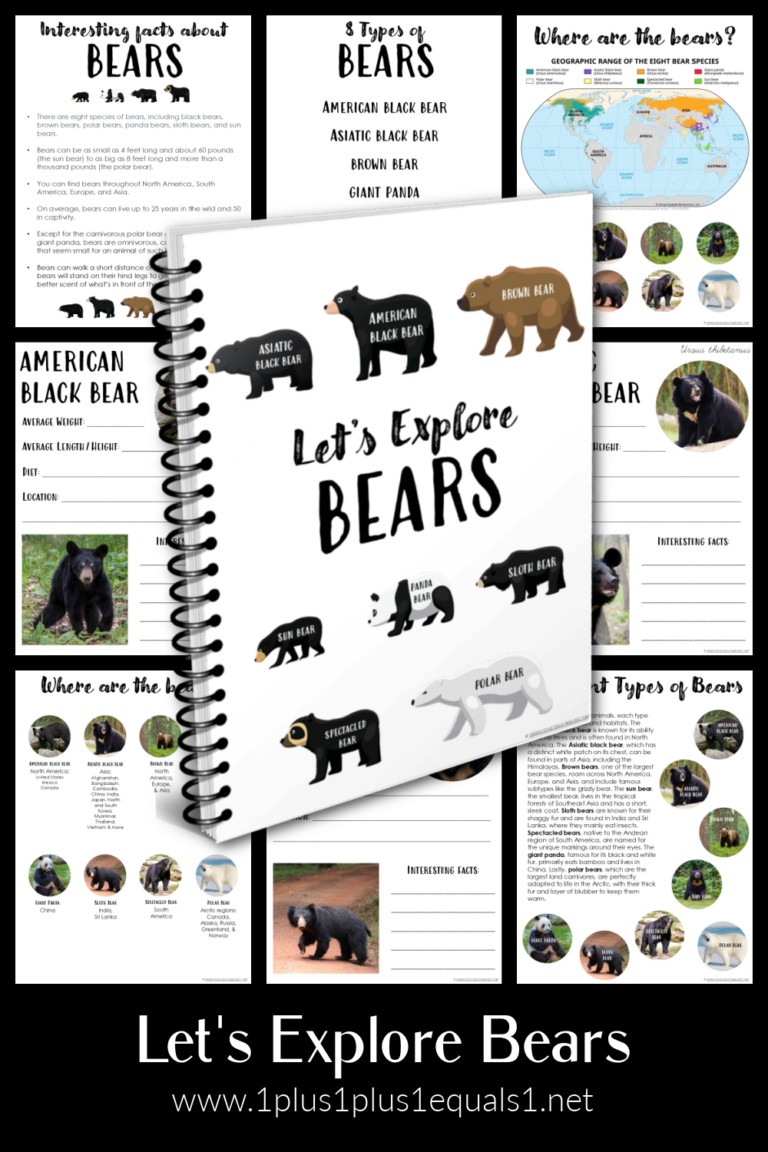 Let's Explore Bears - A Unit Study for Kids - 1+1+1=1