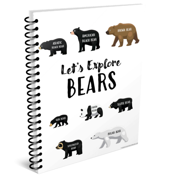 Let's Explore Bears - A Unit Study for Kids - 1+1+1=1