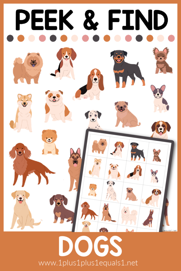 Peek & Find Dogs - 1+1+1=1