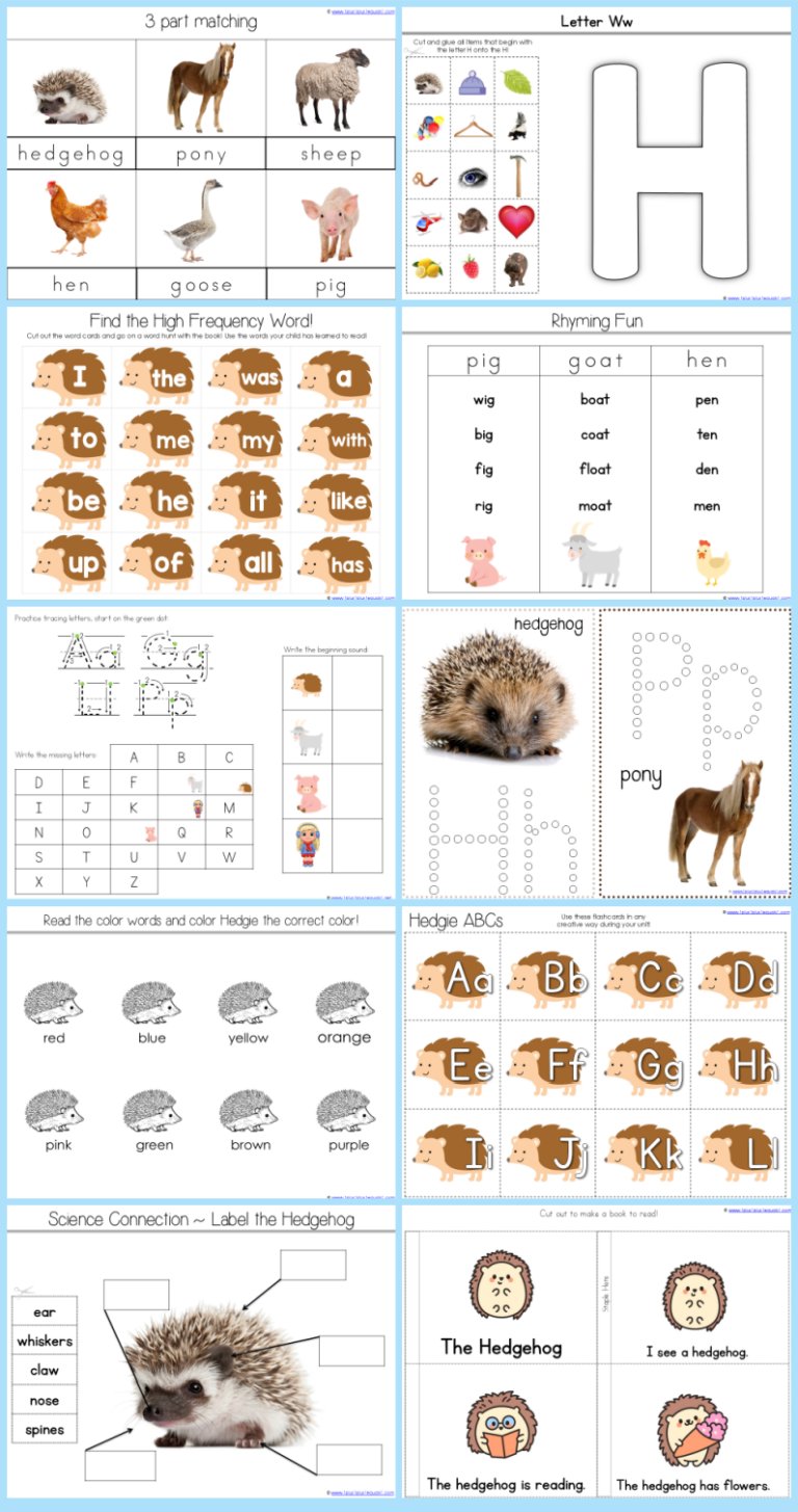 The Snowy Nap Kindergarten Literature Unit - 1+1+1=1